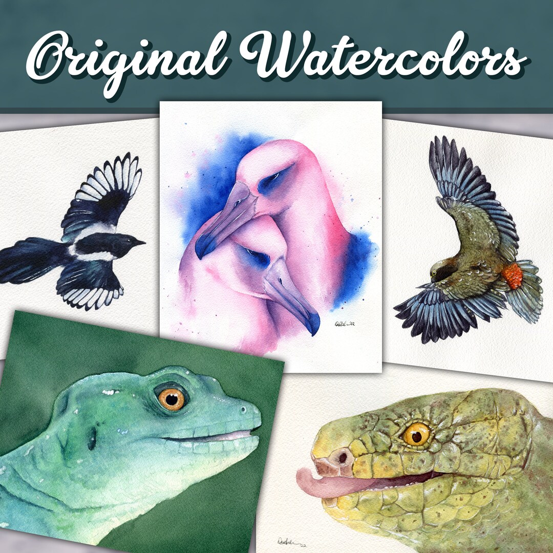 ORIGINAL BIRDS & REPTILES | Watercolor Paintings, Prehensile Tailed ...