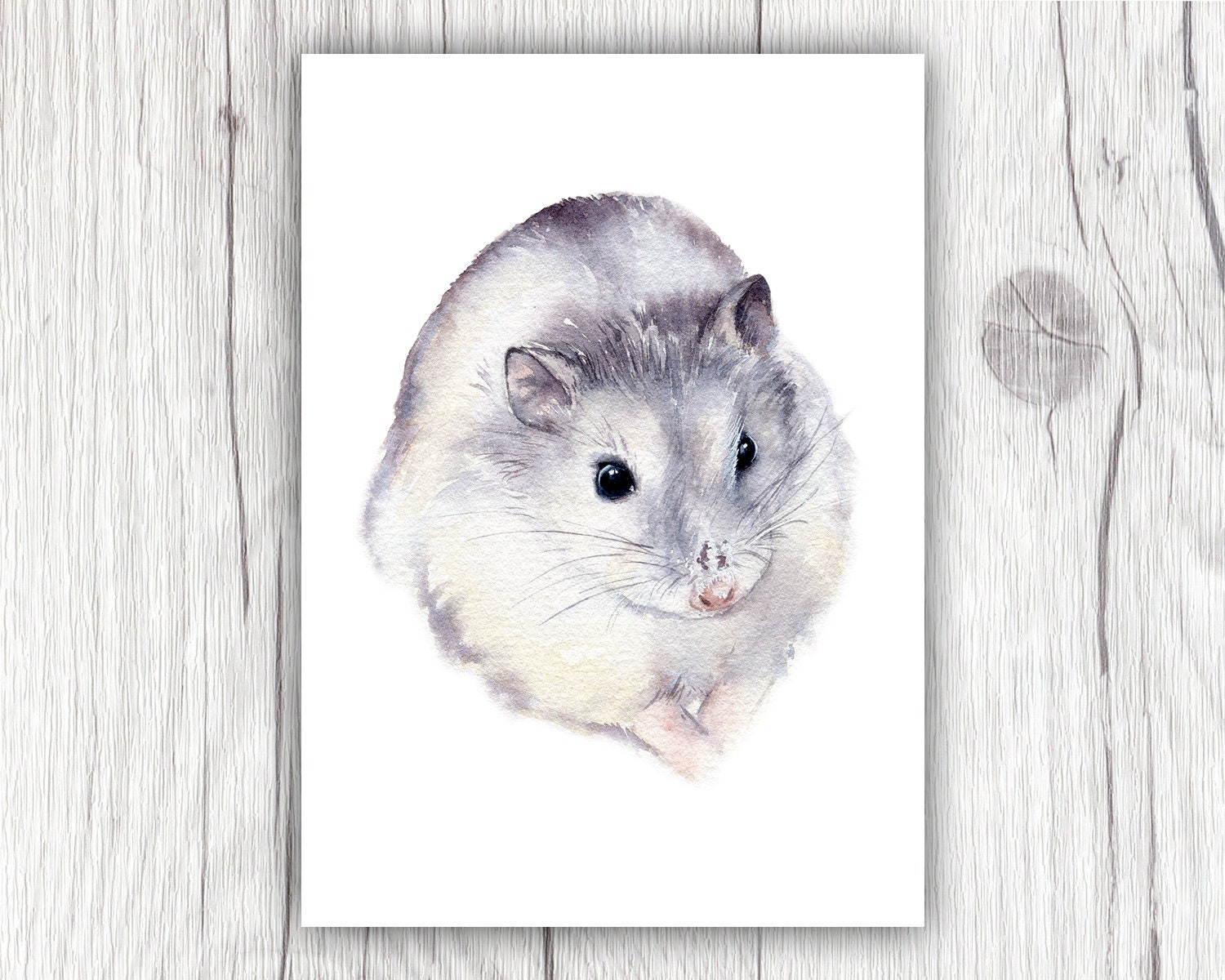Dwarf Hamster Drawing