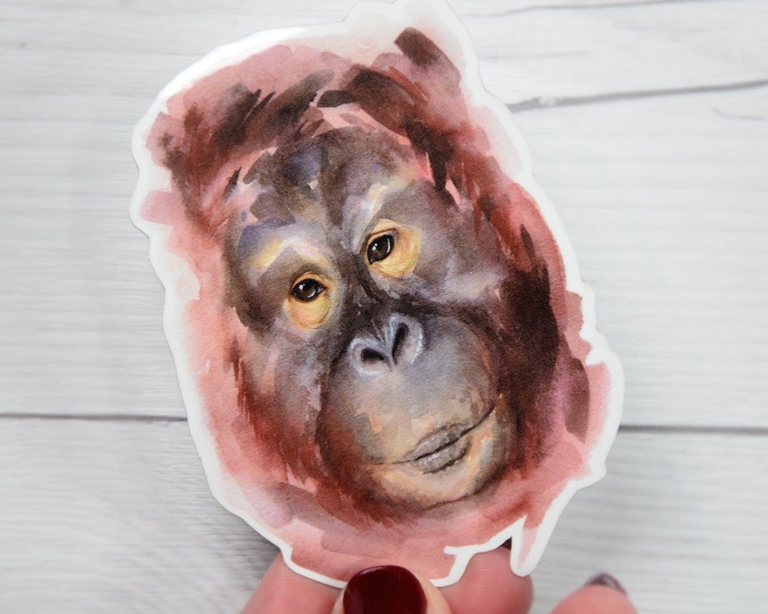 RETIRING: Orangutan Sticker Orangutan, Bornean Orangutan, Sumatran ...