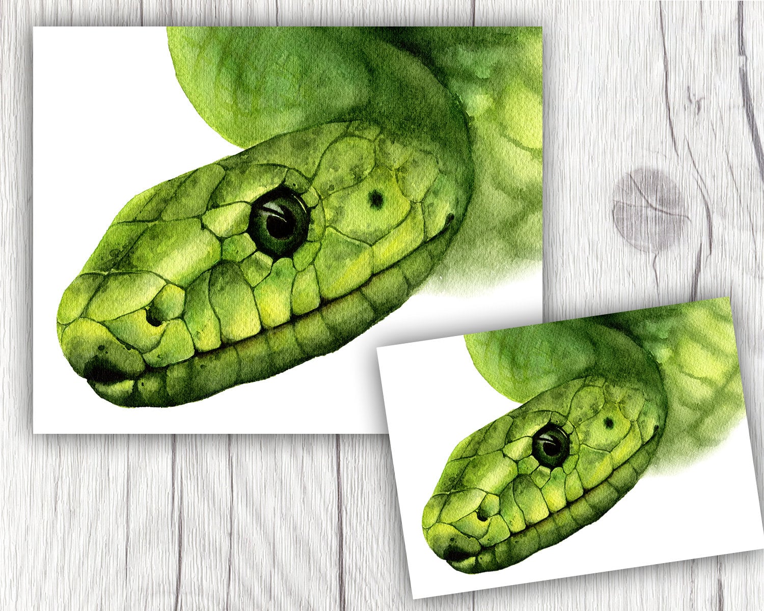Snake Watercolor Painting