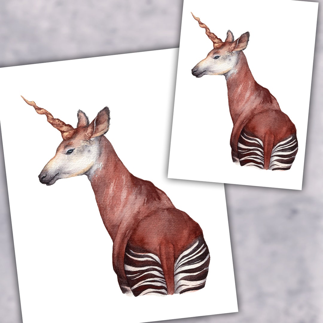 Okapicorn, Okapi, Watercolor Okapi, Okapi Unicorn, Mythical Creature ...