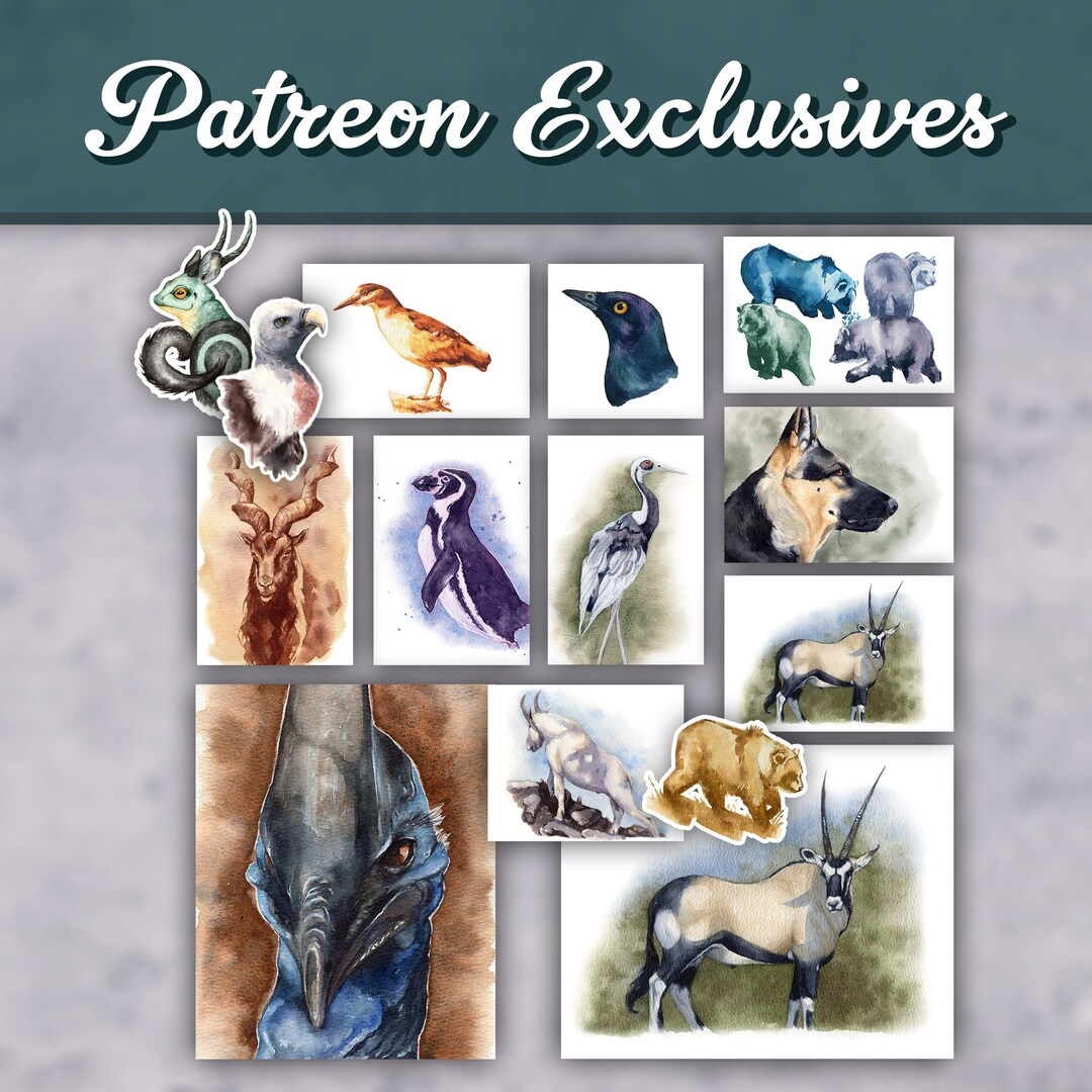2023 Patreon Exclusive Extras! | Extra Stickers & Prints From Patreon Print Packs - Etsy