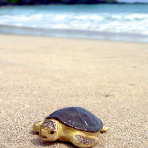Honu "sea Turtle" Ocarina Designed on Maui - Etsy