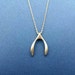 Modern, Wishbone, Gold, Silver, Necklace, Good Luck, Wish, Bone ...