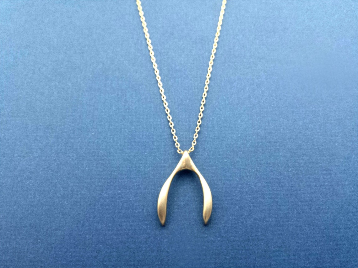 Modern, Wishbone, Gold, Silver, Necklace, Good Luck, Wish, Bone ...