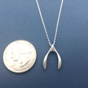 Modern, Wishbone, Gold, Silver, Necklace, Good Luck, Wish, Bone ...