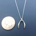Modern, Wishbone, Gold, Silver, Necklace, Good Luck, Wish, Bone ...