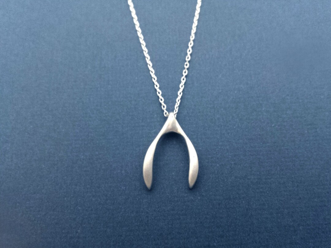 Modern, Wishbone, Gold, Silver, Necklace, Good Luck, Wish, Bone ...
