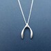 Modern, Wishbone, Gold, Silver, Necklace, Good Luck, Wish, Bone ...