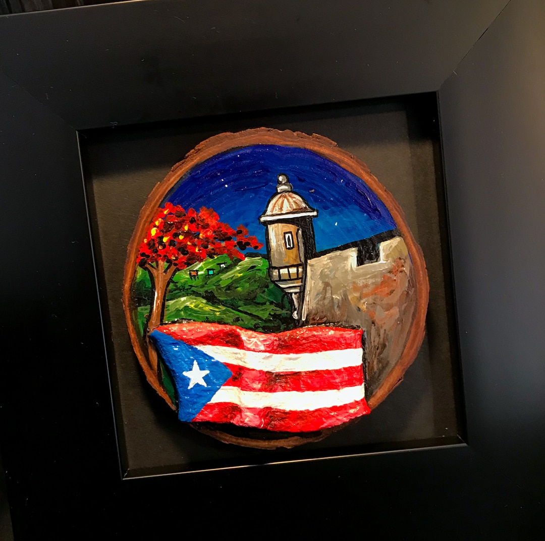 Landscapes of Puerto Rico in Recycled Paper Framed Art Puerto Rico Flag ...