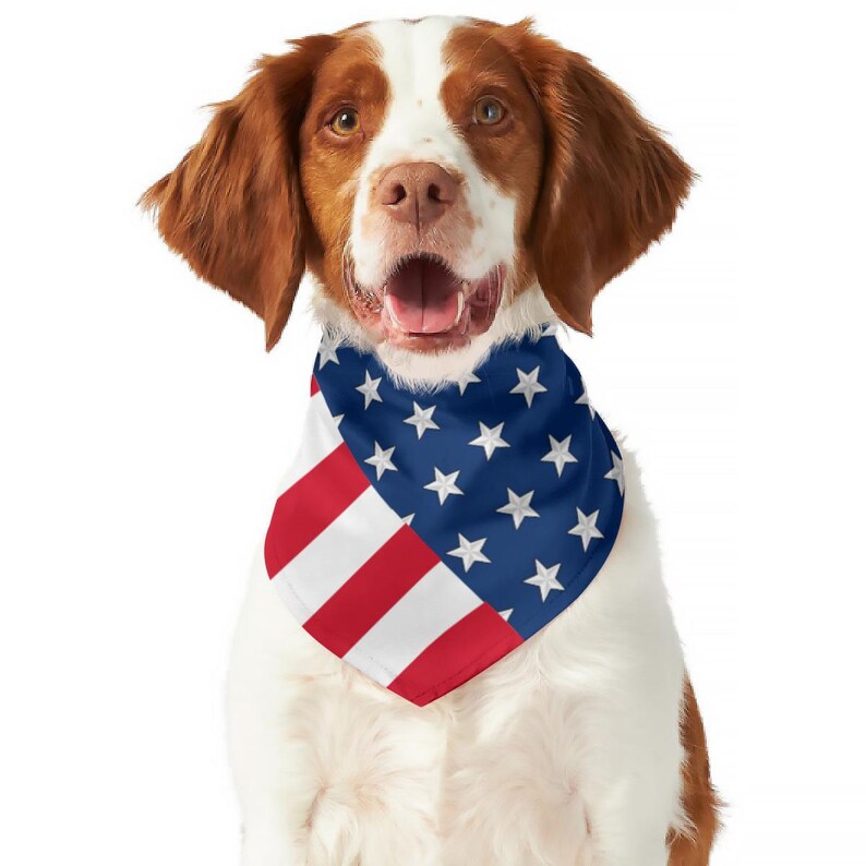 American Flag Dog Bandana – Patriotic Pet Scarf for Graduation – Stars ...