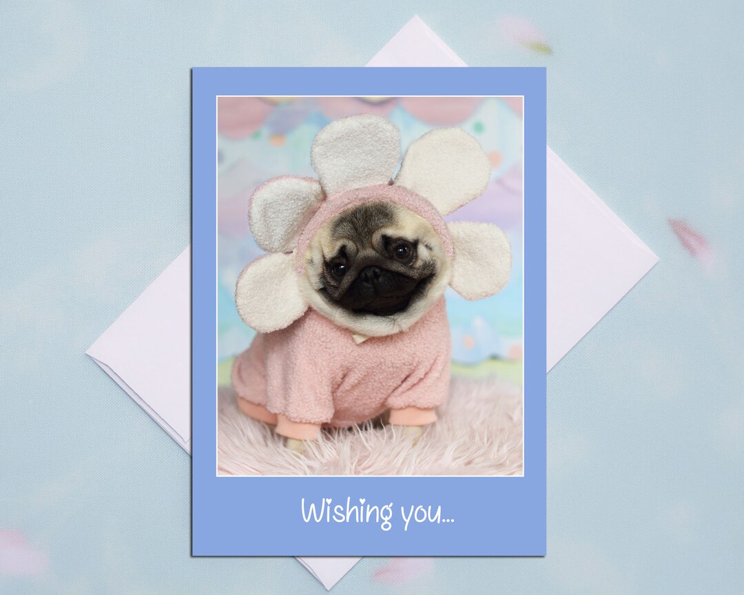 NEW! Wishing You A Happy Easter 5x7 Pug Easter Card by Pugs and Kisses ...
