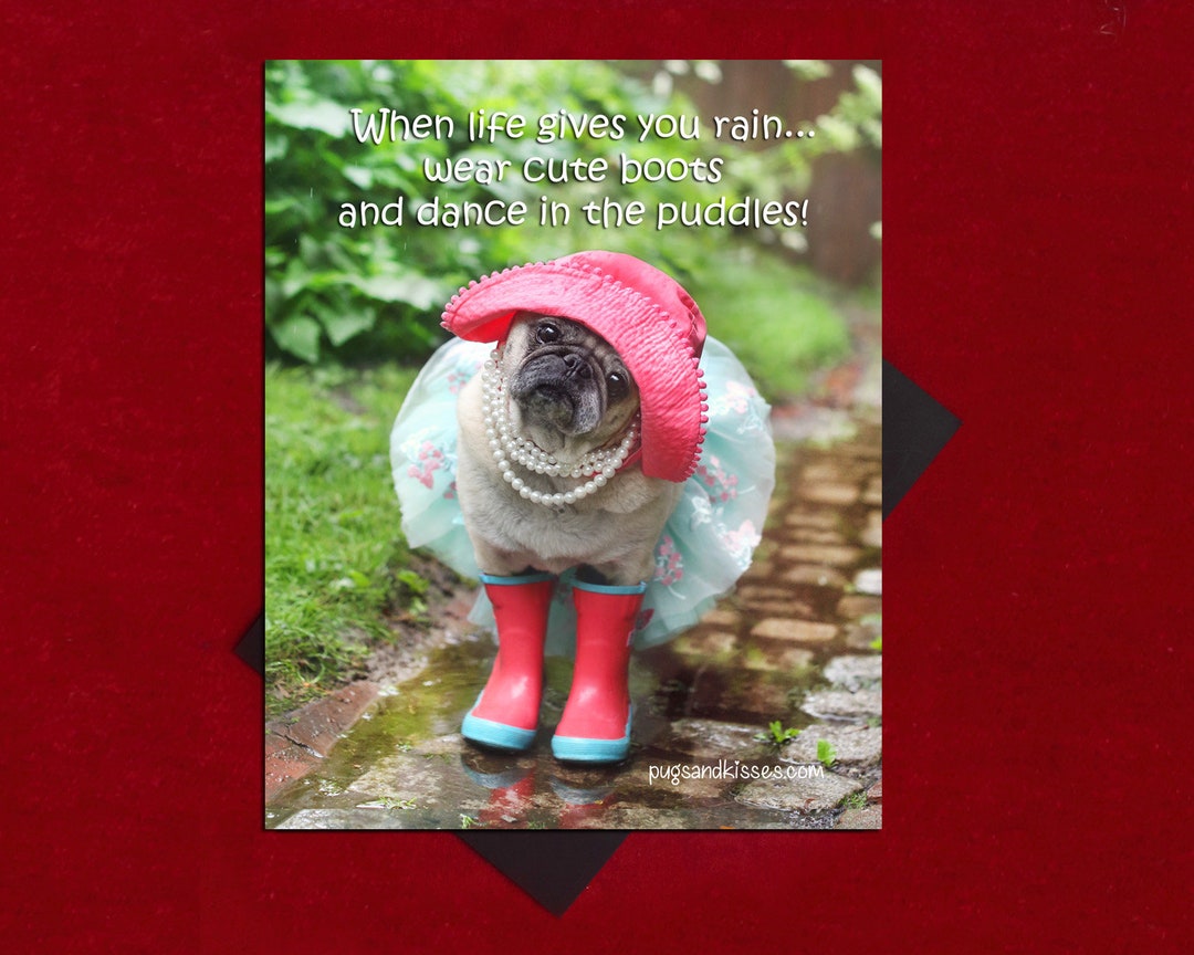 Pug Magnet - When Life Gives You Rain - 5 X 4 Pug Magnet - by Pugs and ...