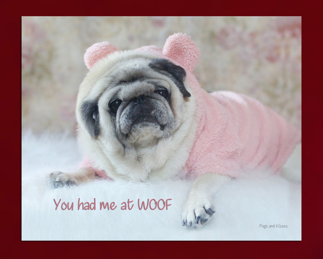 Pug Wall Art You Had Me at Woof Pug Art Print Pug Gift Pug Gift by Pugs ...