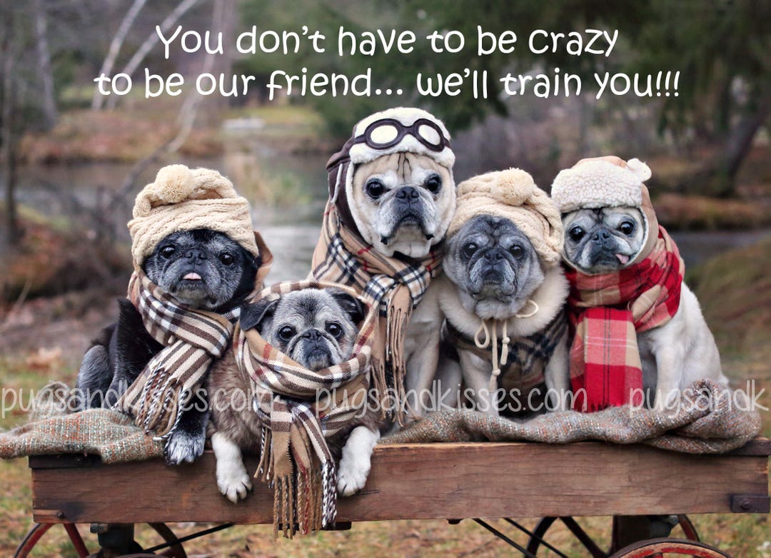 Pug Wall Art - Crazy Friends - Pug Art Print - Pug Gift - Pug Gift by ...