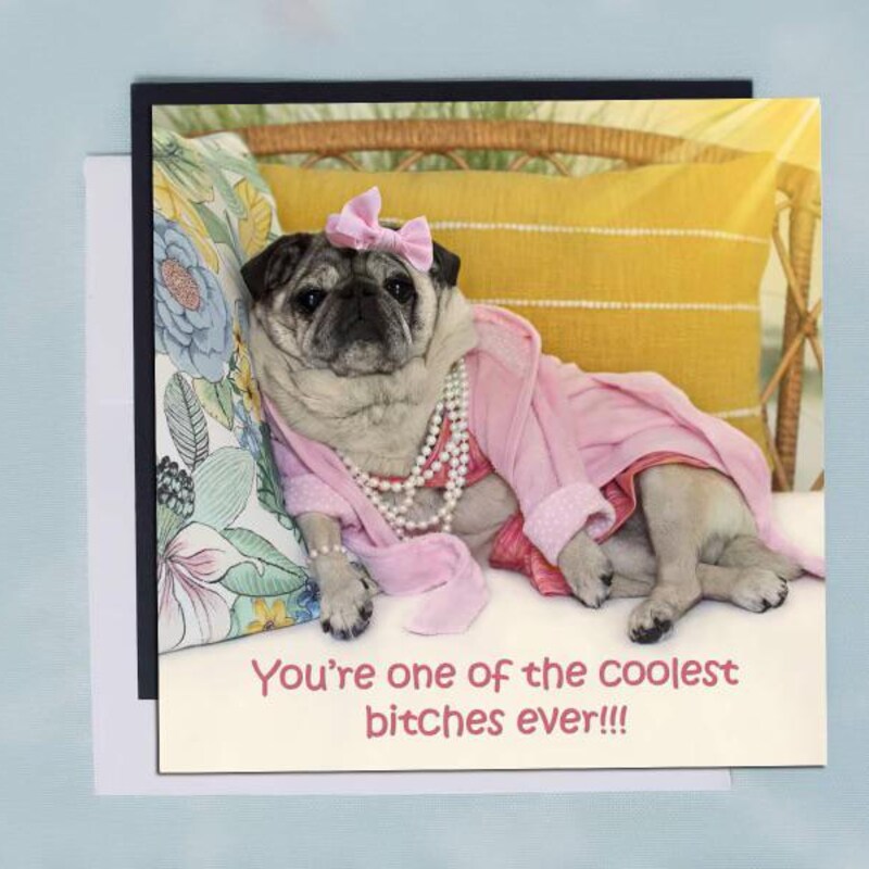 Money Money Pug - Etsy