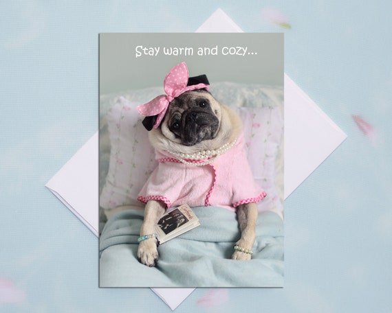 GET WELL CARD Stay Warm and Cozy Pug Card Pugs and Kisses | Etsy