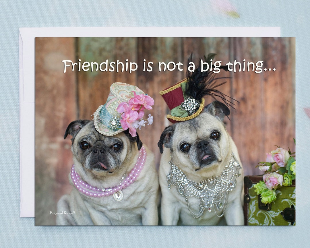 Funny Friendship Cards - Friendship is Not a Big Thing - Friendship ...