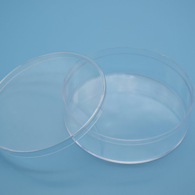 Clear Container - Etsy