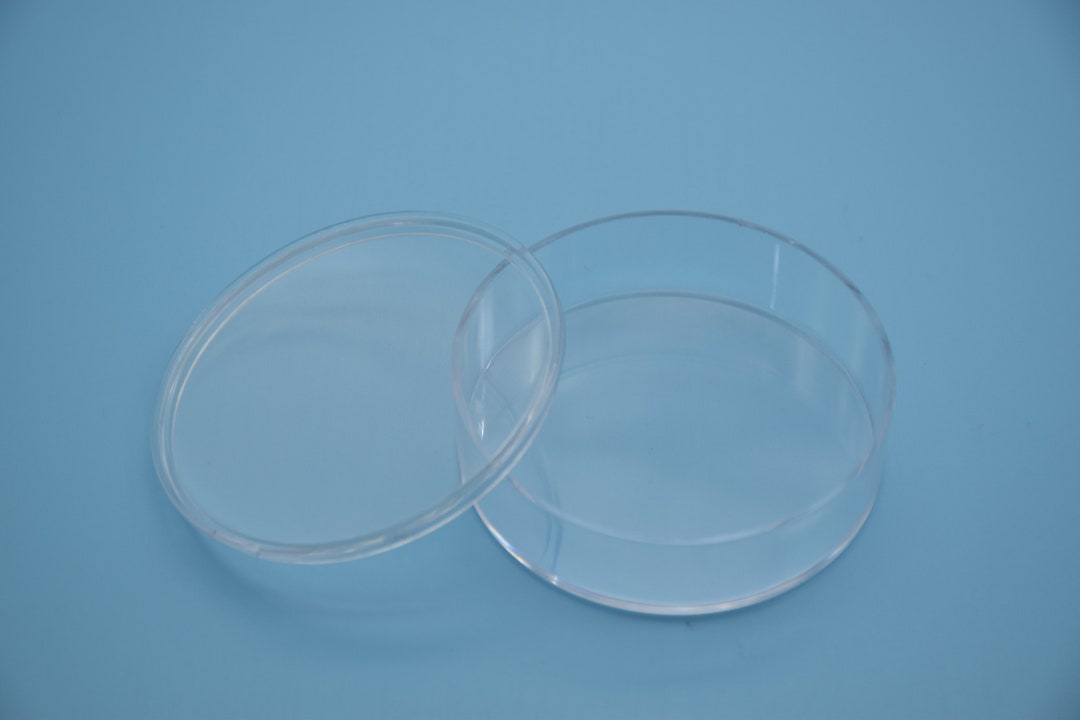10 Round Clear Plastic Box,transparent Ps Box With Lid,clear Box ...