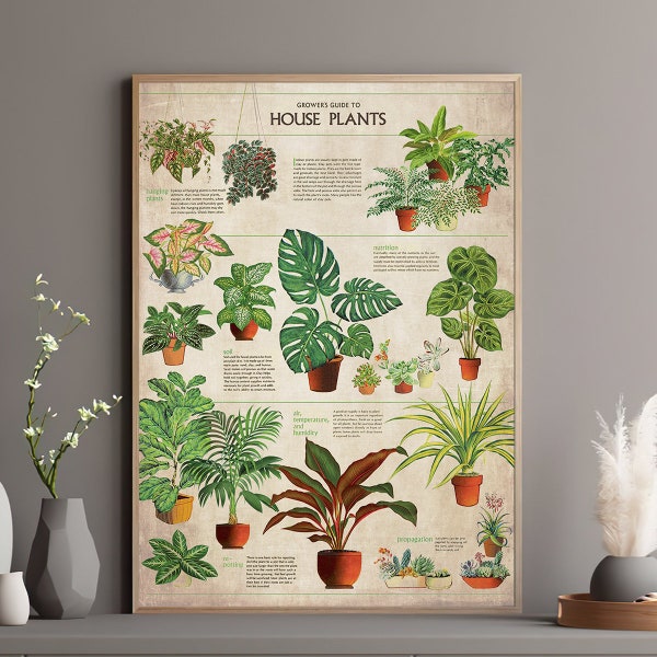 Plant Poster - Etsy