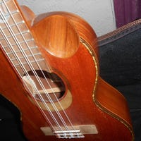 Spamjo Canjo: Handmade Ambrosia Maple One-string Dulcimer - Etsy UK