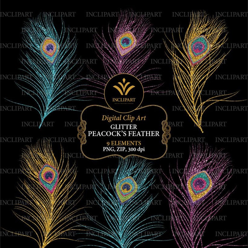 Feathers Clip Art - Etsy