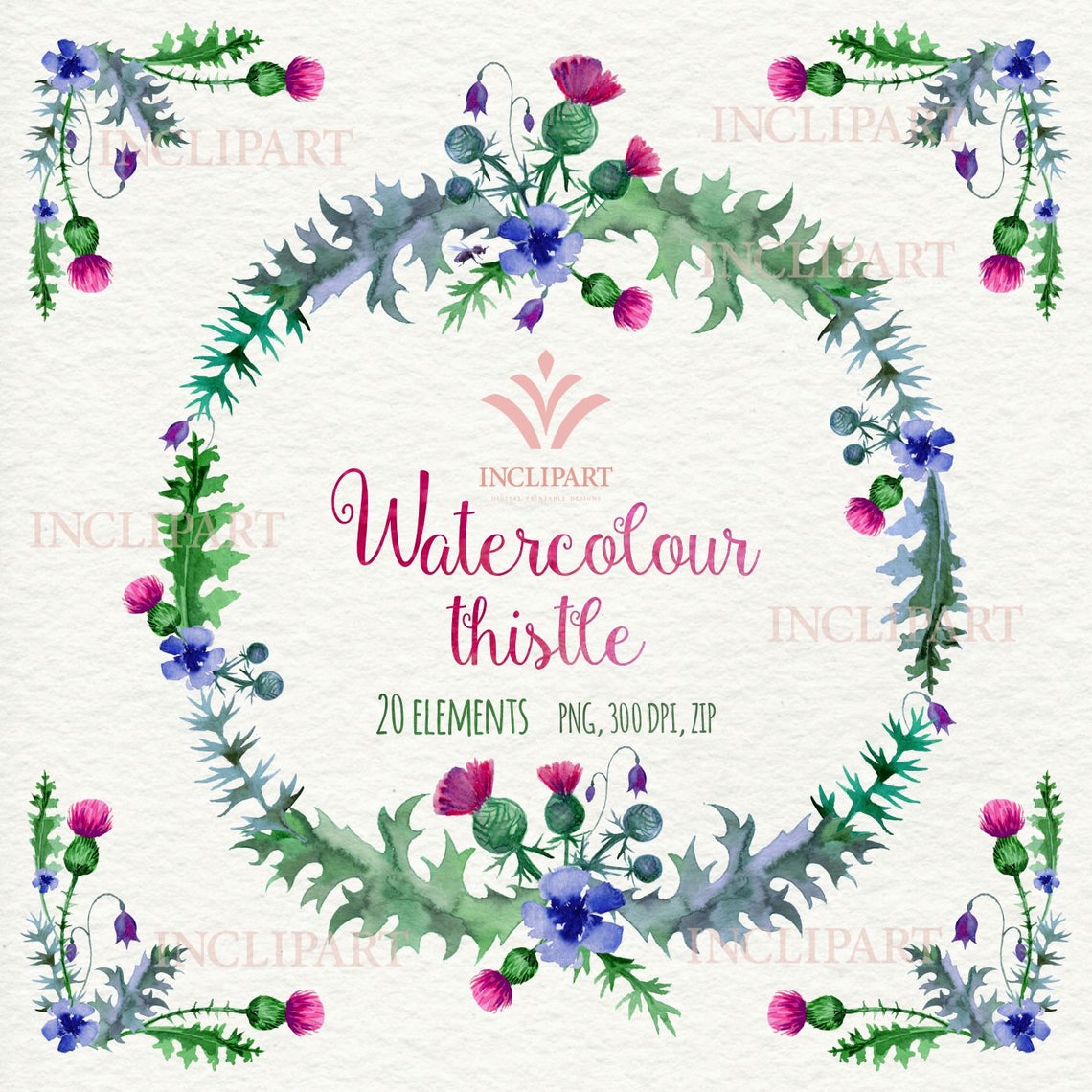 Watercolor Thistle Wreath Corner Elements Clip Art. Hand - Etsy UK