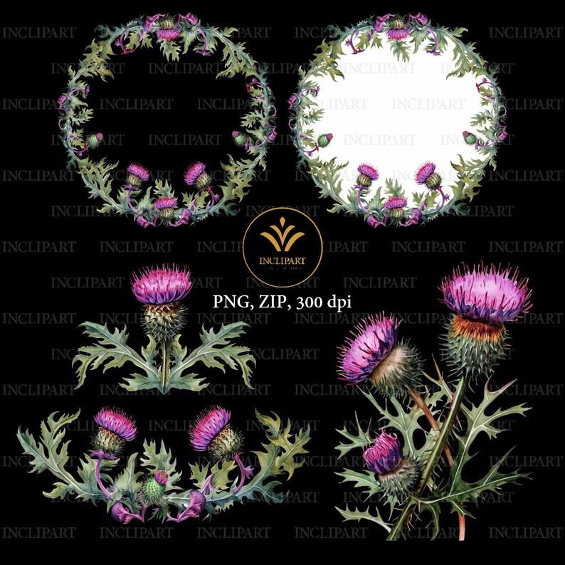 Watercolor Thistle Wreath Book Divider PNG Digital Clip Art. - Etsy UK