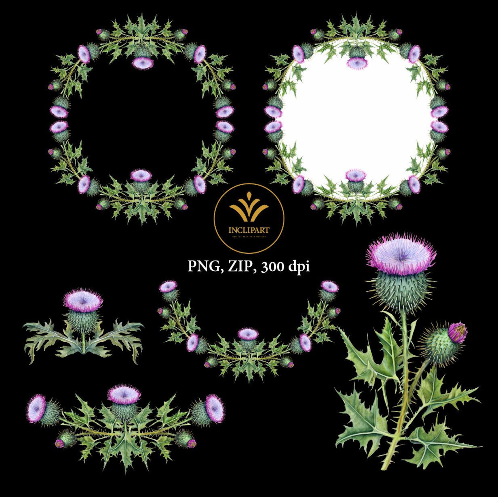Watercolour Thistle, Wreath, Book Divider PNG Digital Clipart. Hand ...