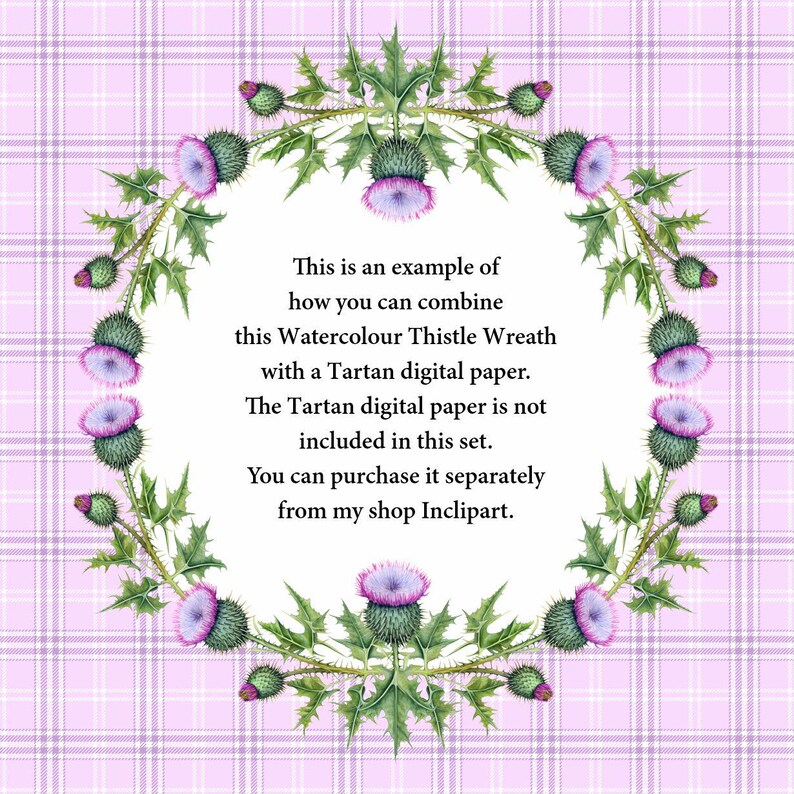 Watercolour Thistle, Wreath, Book Divider PNG Digital Clipart. Hand ...