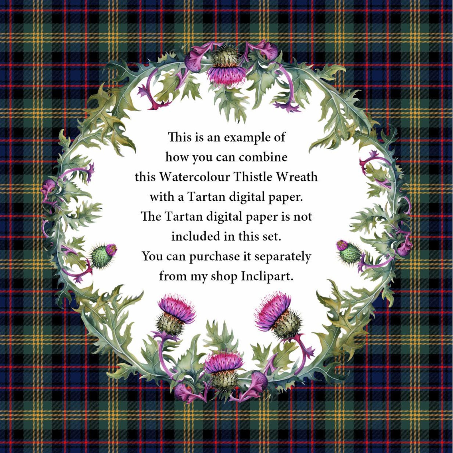 Watercolor Thistle, Wreath, Book Divider PNG Digital Clip Art. Hand ...