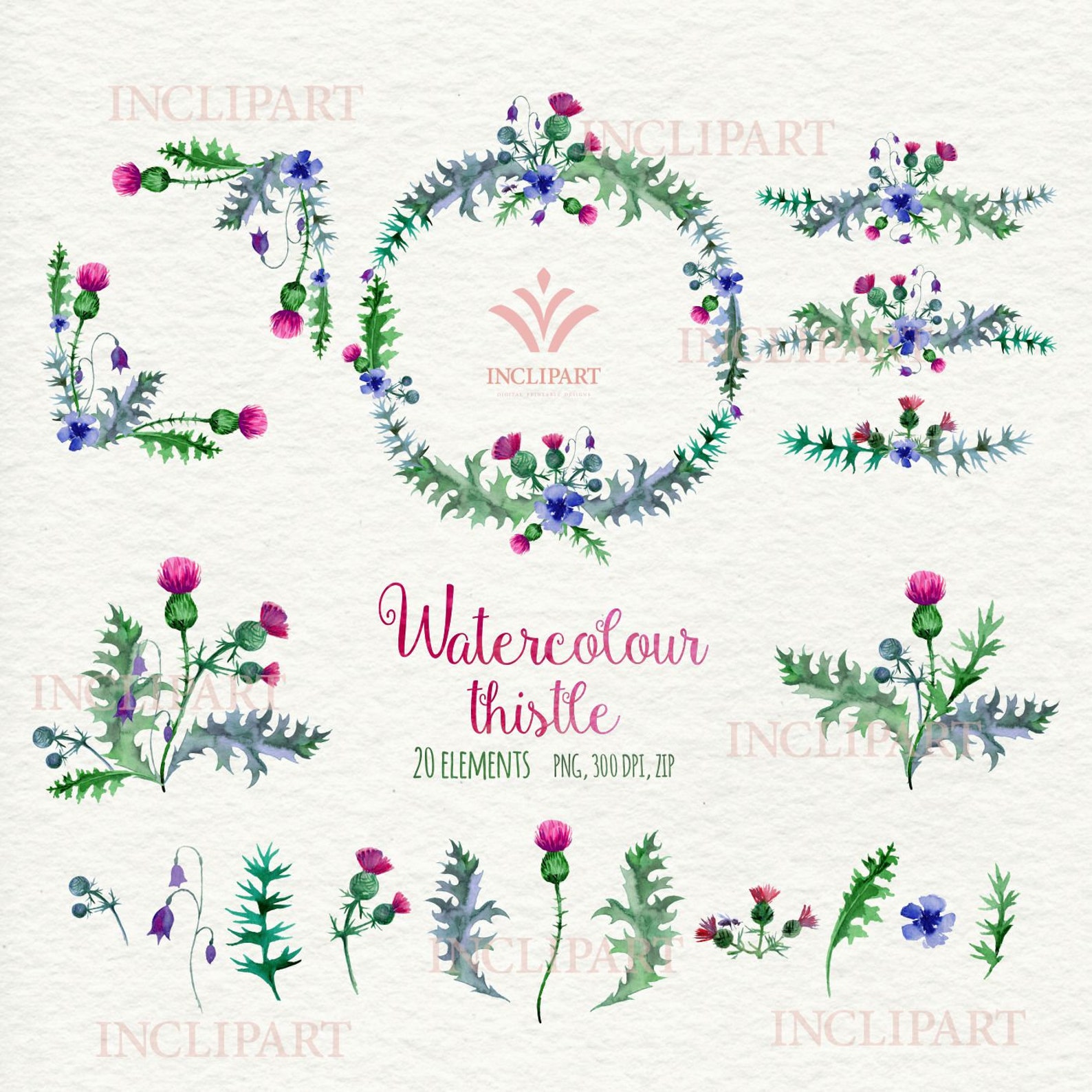 Watercolor Thistle Wreath Corner Elements Clip Art. Hand - Etsy UK