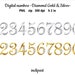 Digital Numbers Clip Art. Gold and Silver With Diamonds/rhinestone ...