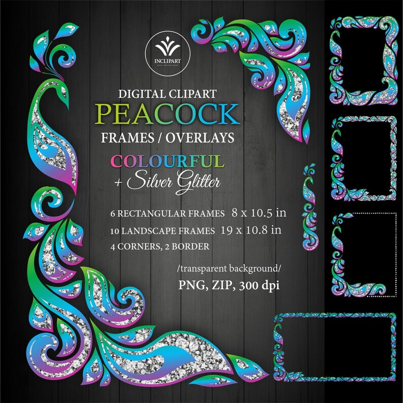 Frame Peacock Clipart. Colorful Frames Corners Border With - Etsy