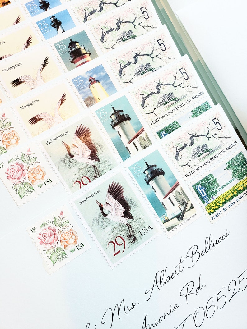 North Fork Vineyard Wedding Invitations and Insert Cards Bedell Cellars ...