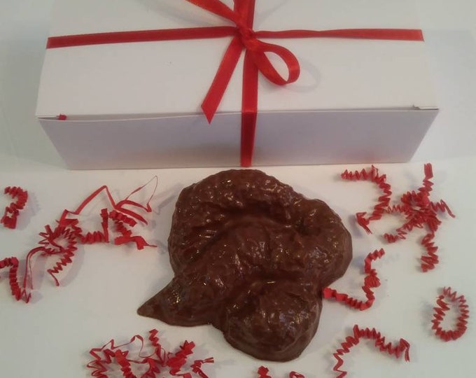 Ghiradelli Chocolate Poop Emoji Pops With Candy Eyes, 10 Pops per Order ...