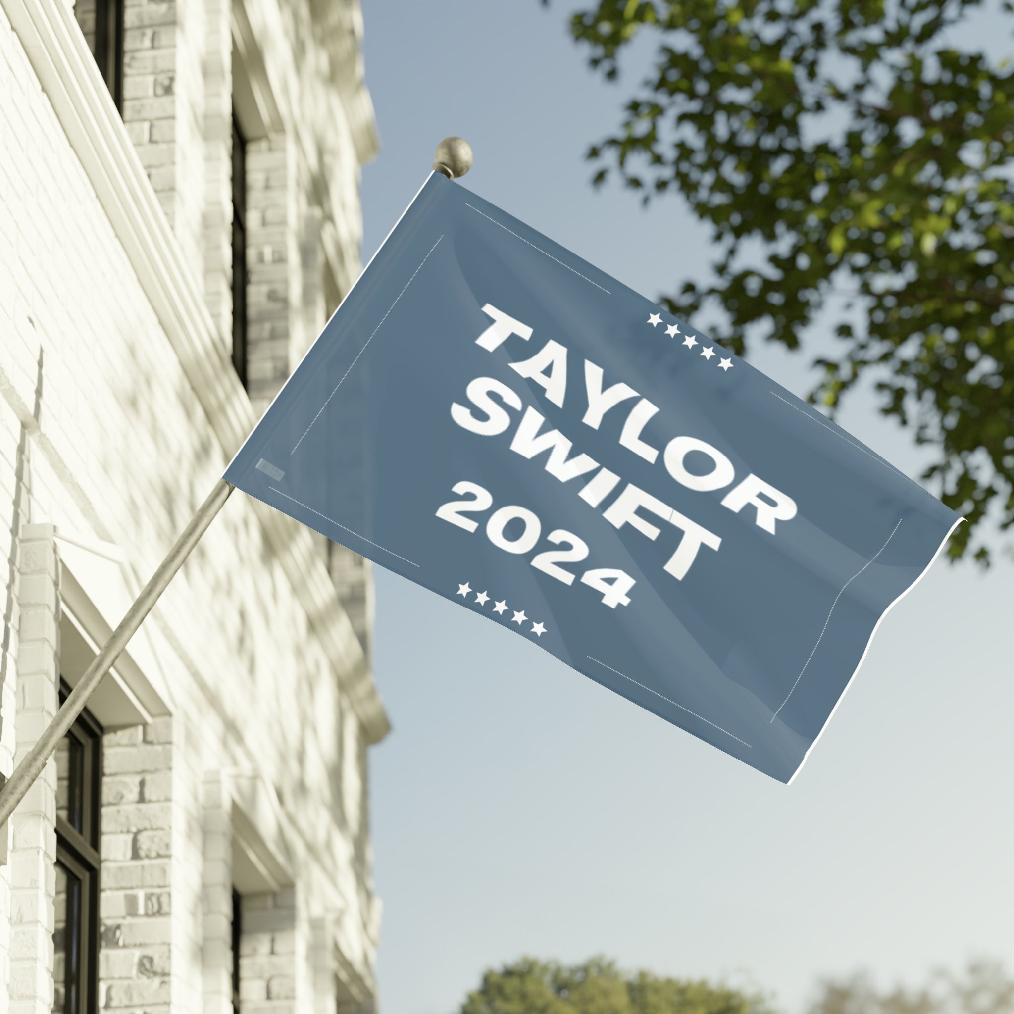 Taylor Swift 2024 Flag, Taylor Swift for President, Election Outdoor ...
