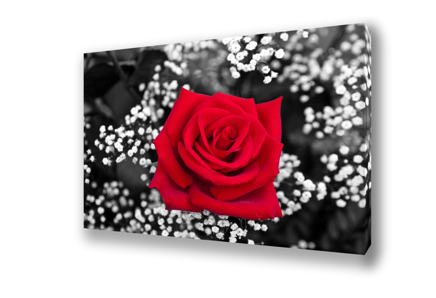 Red Rose Wall Art Canvas Gallery Wrap Flower Decor Large - Etsy