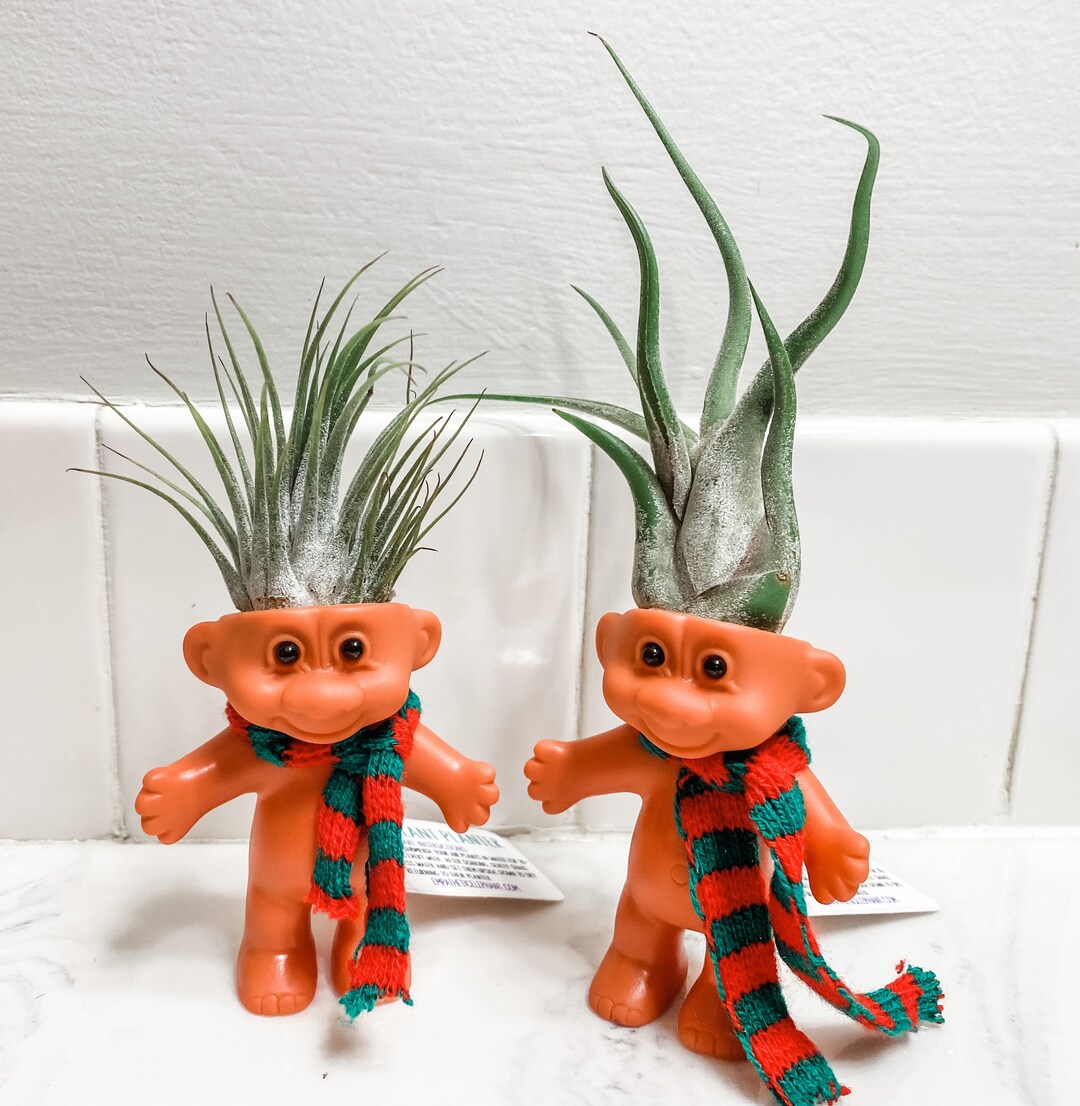 Troll Planter With Live Air Plant - Teacher Gift - Stocking Stuffer ...