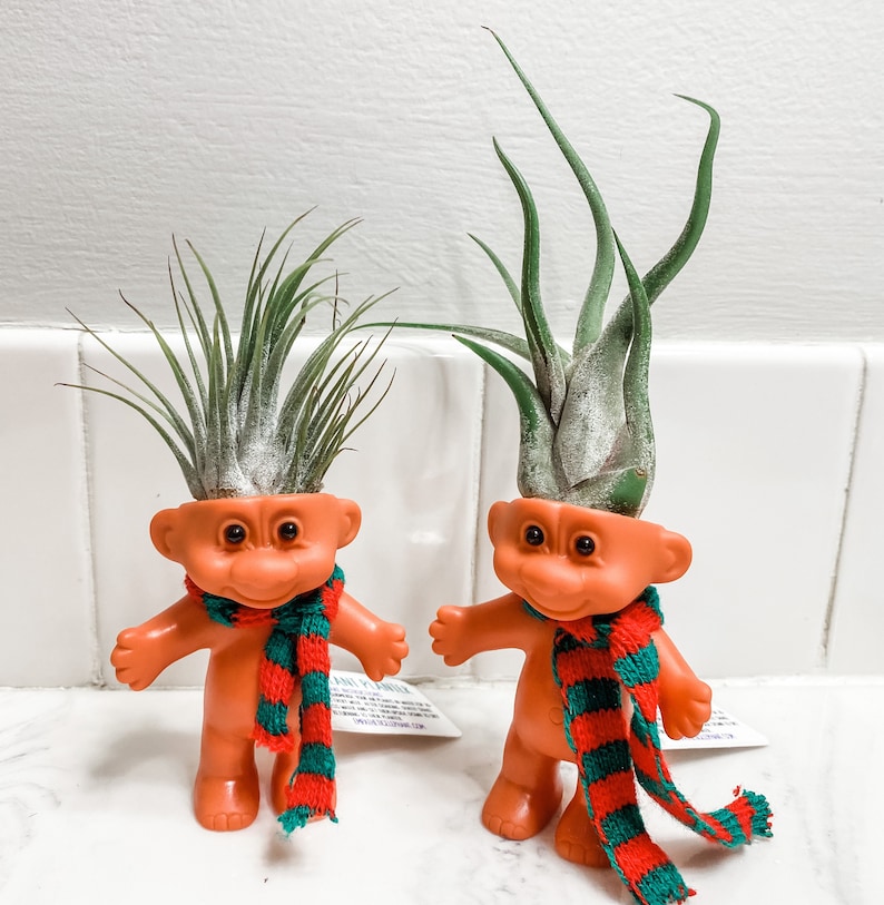 Troll Planter With Live Air Plant Teacher Gift Stocking - Etsy