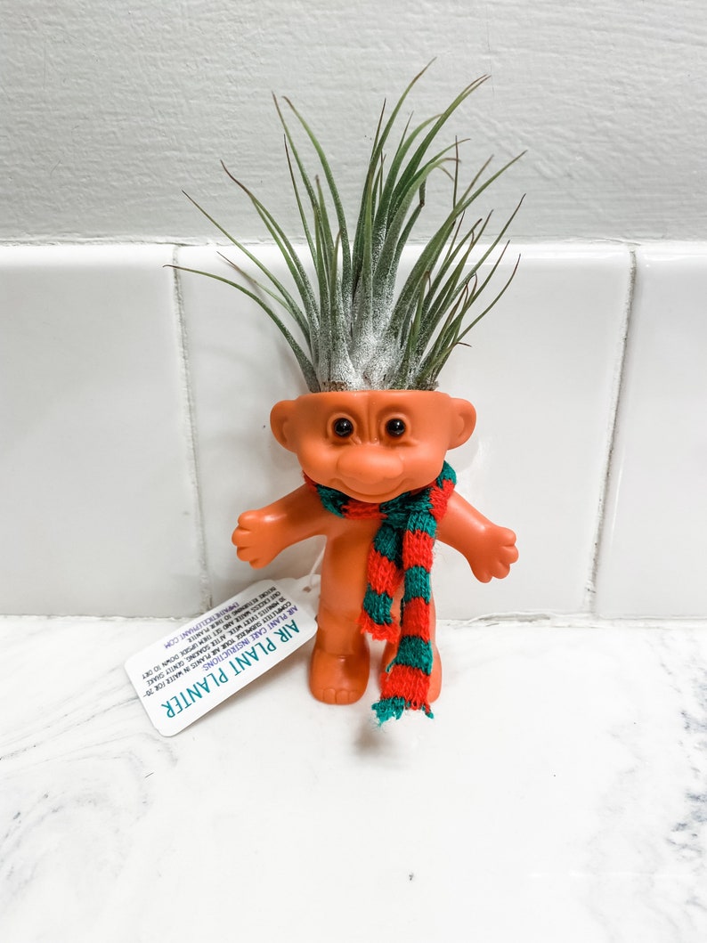 Troll Planter With Live Air Plant Teacher Gift Stocking - Etsy