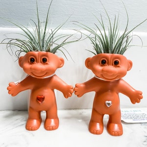 Troll Planter With Live Air Plant - Teacher Gift - Novelty Gift - Retro ...