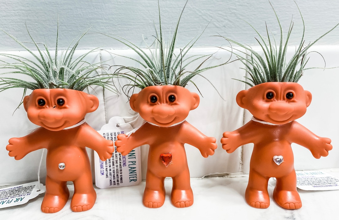 Troll Planter With Live Air Plant - Teacher Gift - Novelty Gift - Retro ...