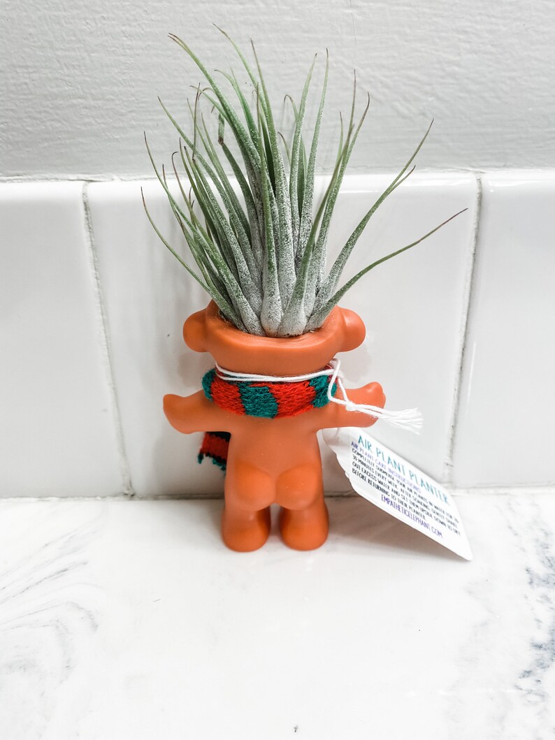 Troll Planter With Live Air Plant Teacher Gift Stocking - Etsy