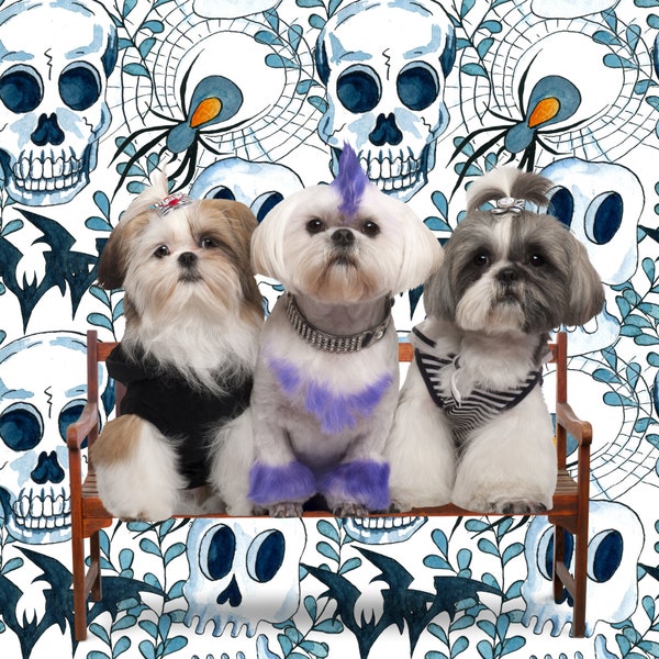 Dog Grooming Backdrop - Etsy