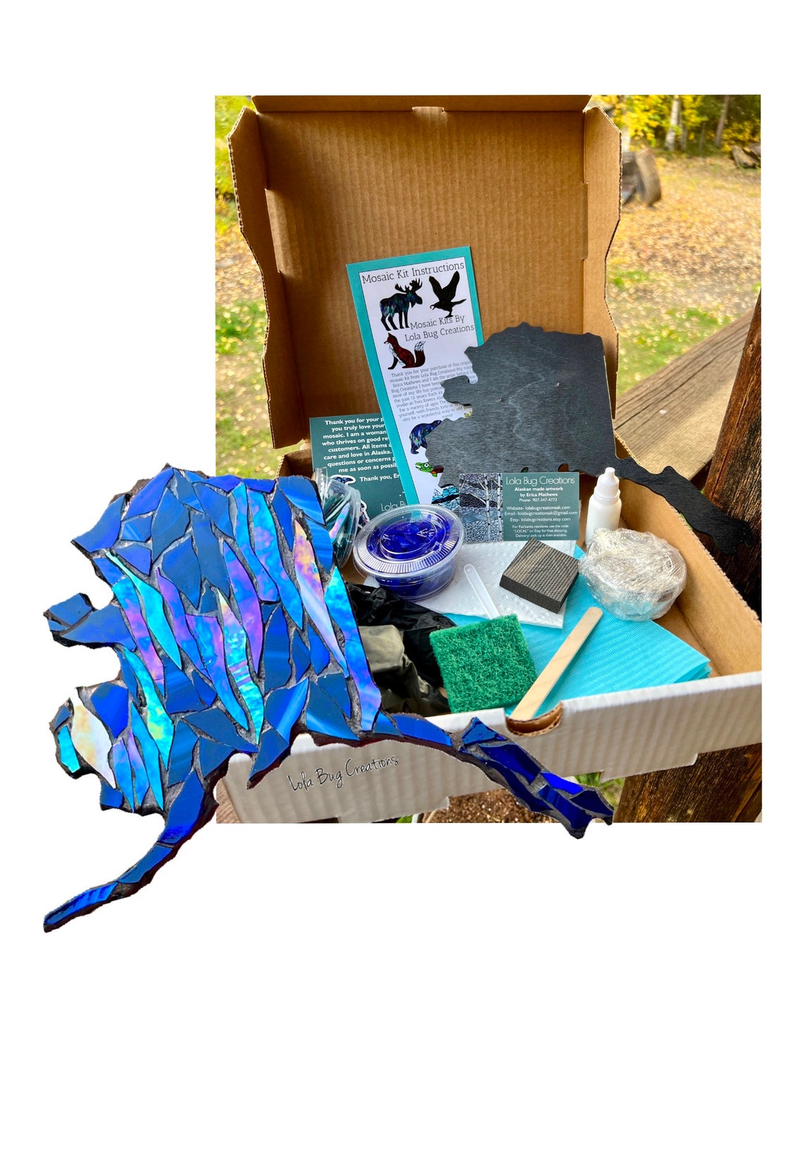 Northern Lights State of Alaska Mosaic Kit DIY - Etsy