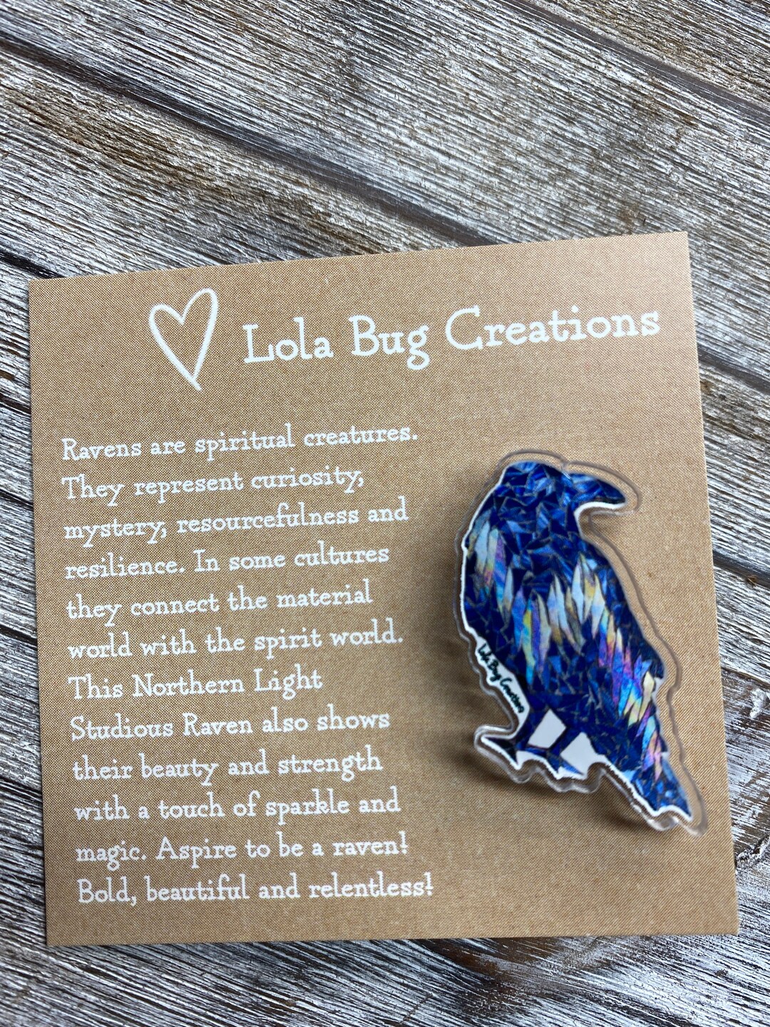 Studious Northern Lights Raven Pin - Etsy