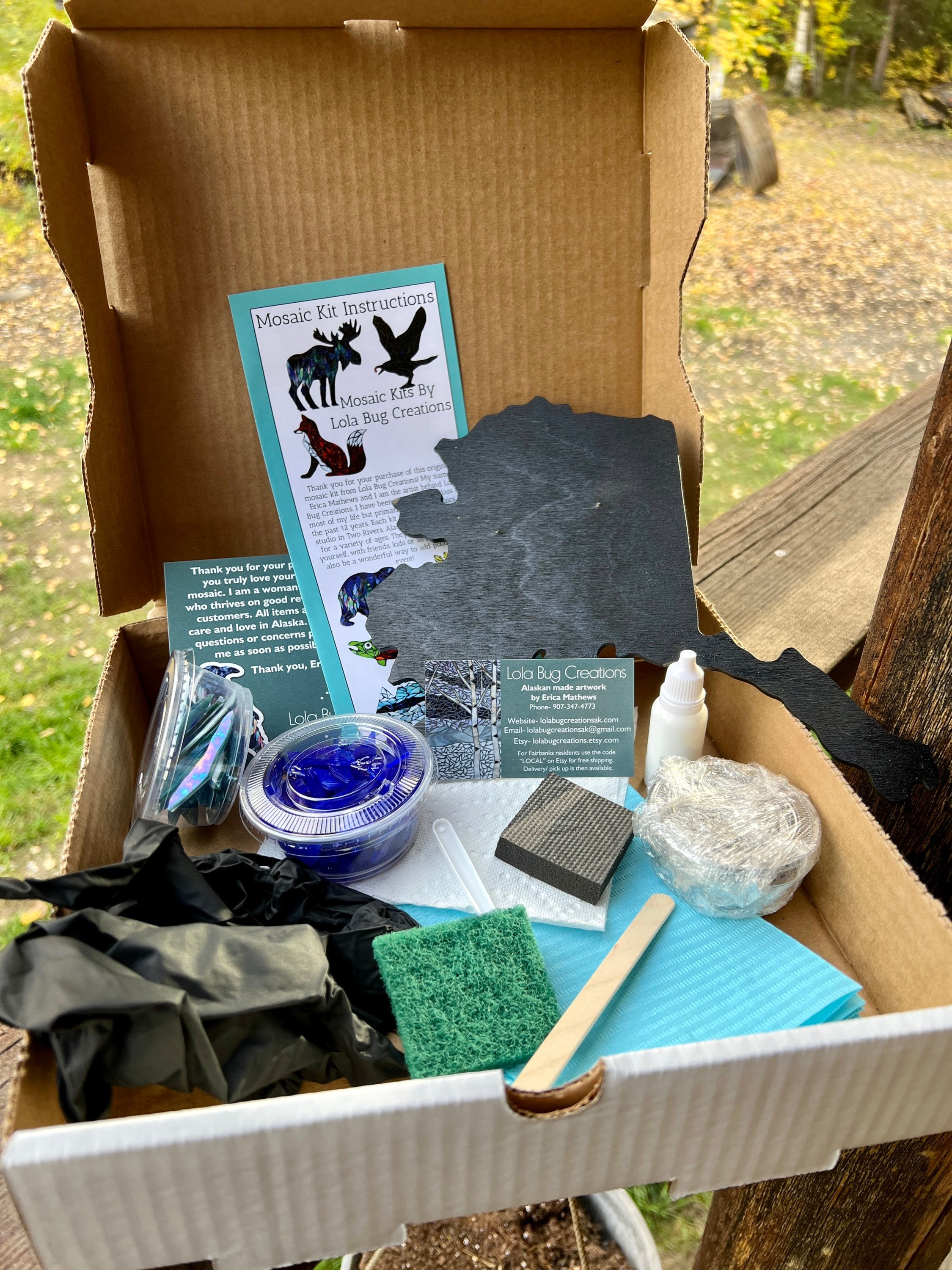 Northern Lights State of Alaska Mosaic Kit DIY - Etsy