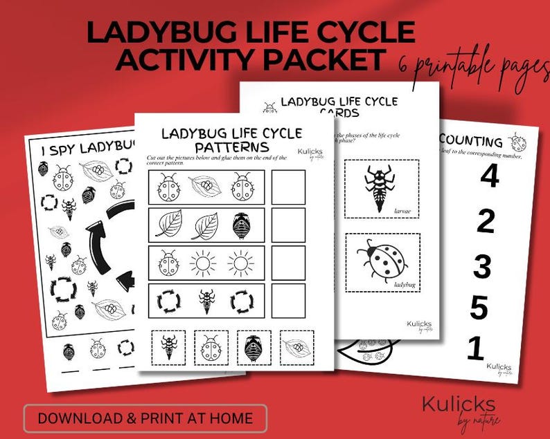 Ladybug Life Cycle Bundle - Etsy